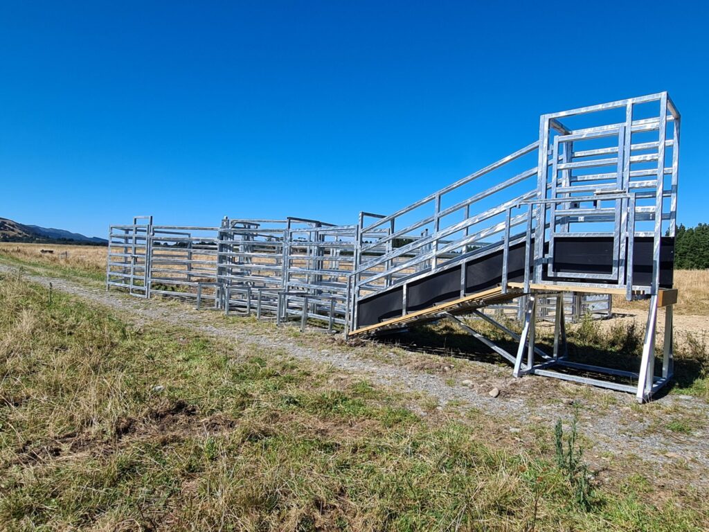 Permanent Cattle Yards – Taylor Made Gates