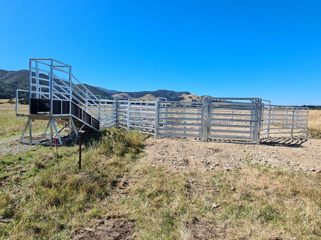 Permanent Cattle Yards – Taylor Made Gates