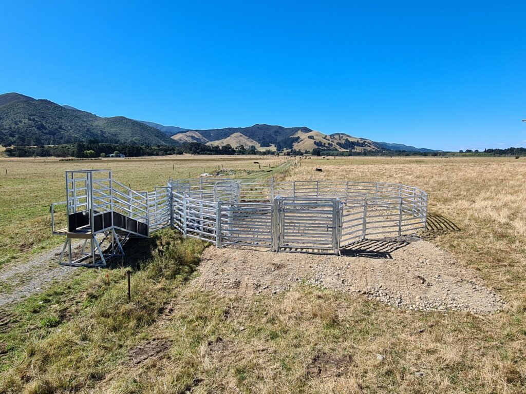Permanent Cattle Yards – Taylor Made Gates