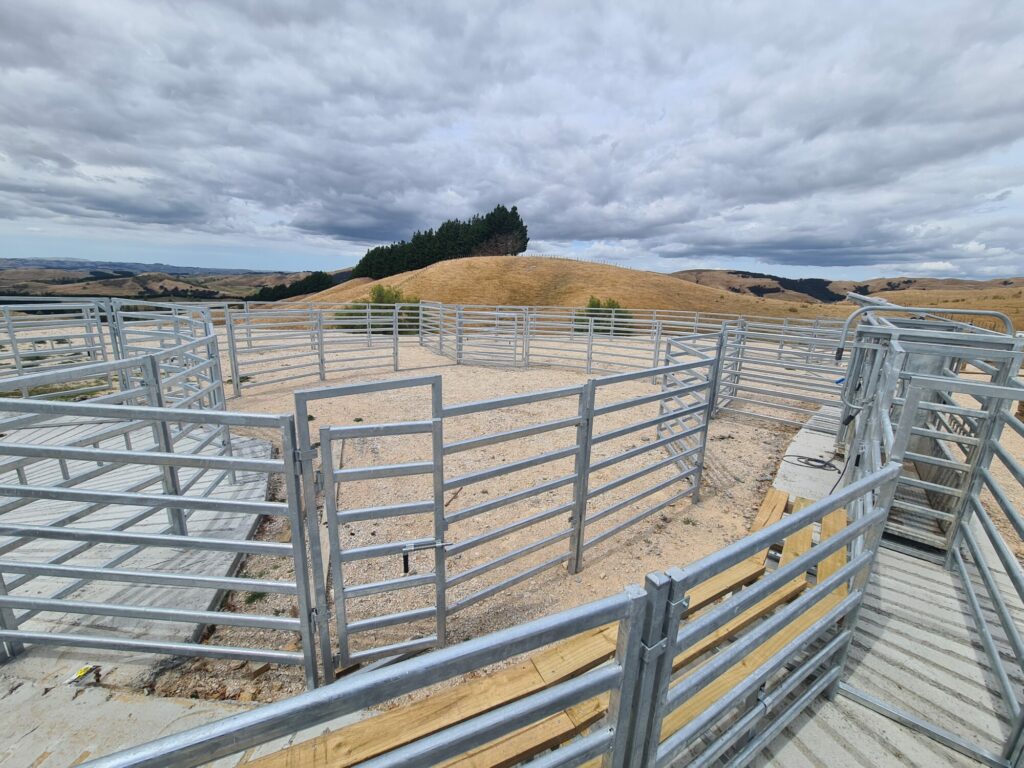 Permanent Cattle Yards – Taylor Made Gates