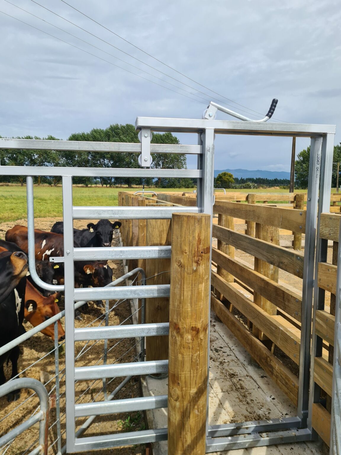 Cattle Slide Gate – Taylor Made Gates