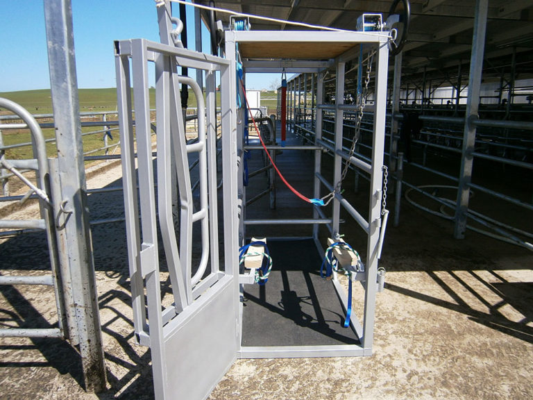 Cow Trap – Taylor Made Gates