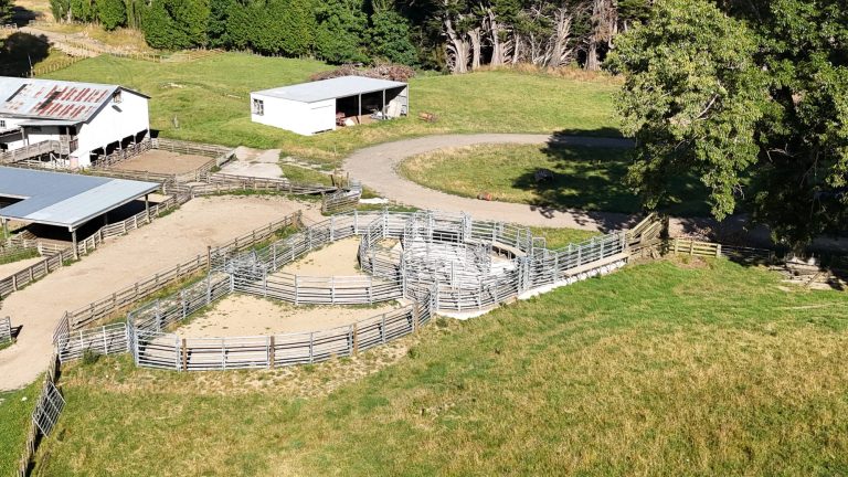 Permanent Cattle Yards – Taylor Made Gates