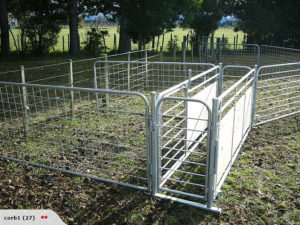 Portable Sheep Yards – Taylor Made Gates